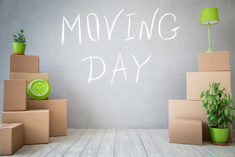 Movers near San Antonio TX - Move Logistics "Anywhere You Need To Be"